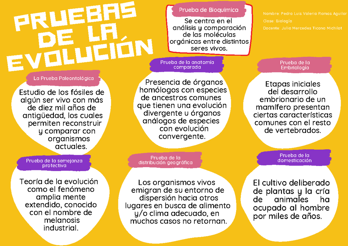 Pruebas DE LA Evolución - PRUEBAS DE LA EVOLUCIÓN Etapas iniciales del ...