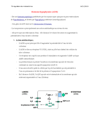Grammar Lessons verb tenses in english and modal verbs L3 - GRAMMAR ...