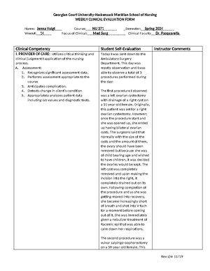 3:6 care plan - clinical care plan - Georgian Court University ...