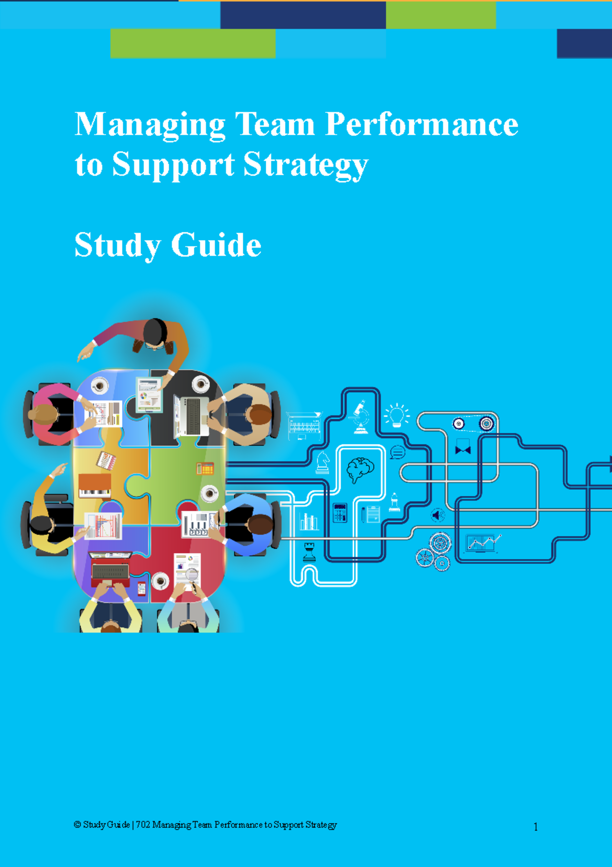 702 - Manage Team Performance to Support Strategy - Study Guide ...