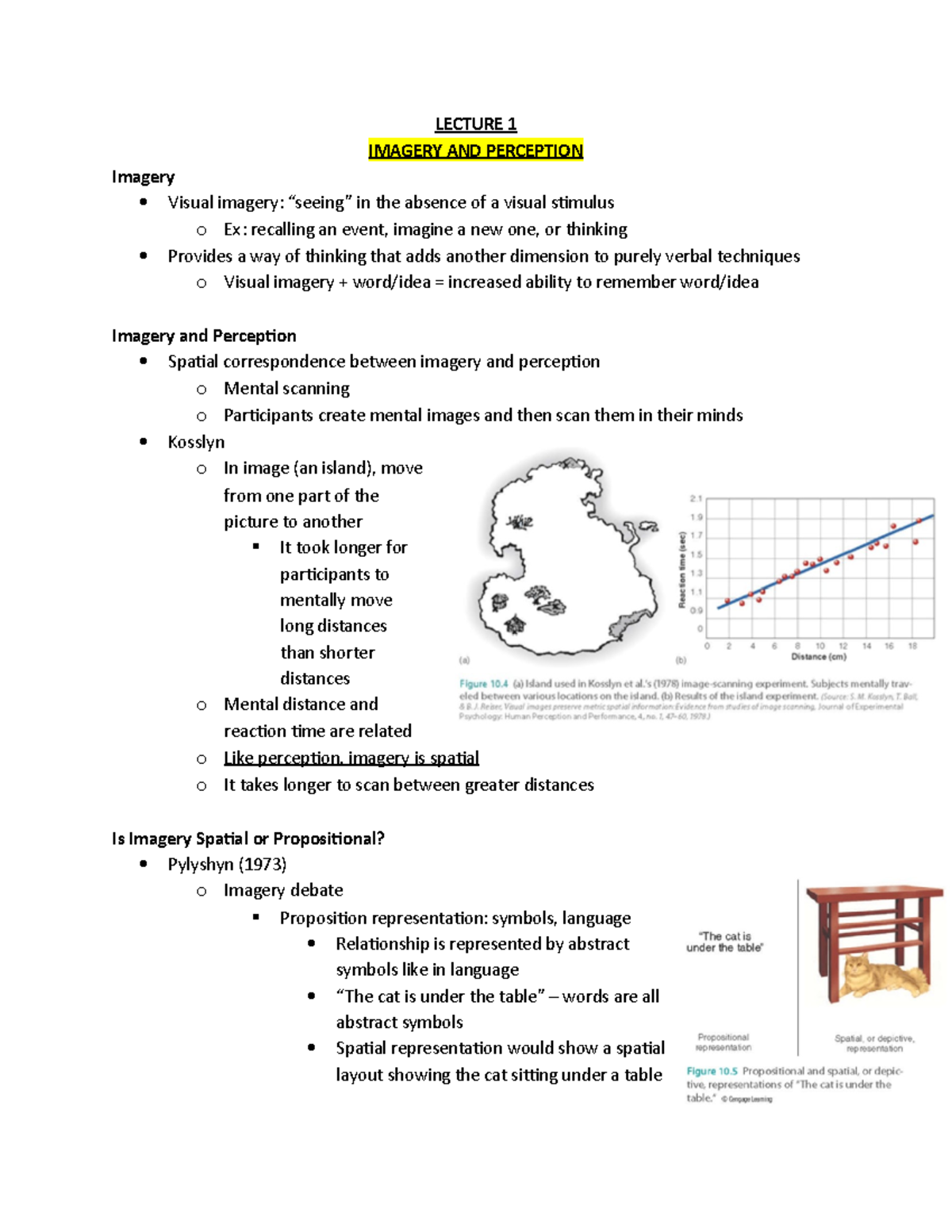Ch10+11 Student Note - Imagery and perception, imagery and the brain ...