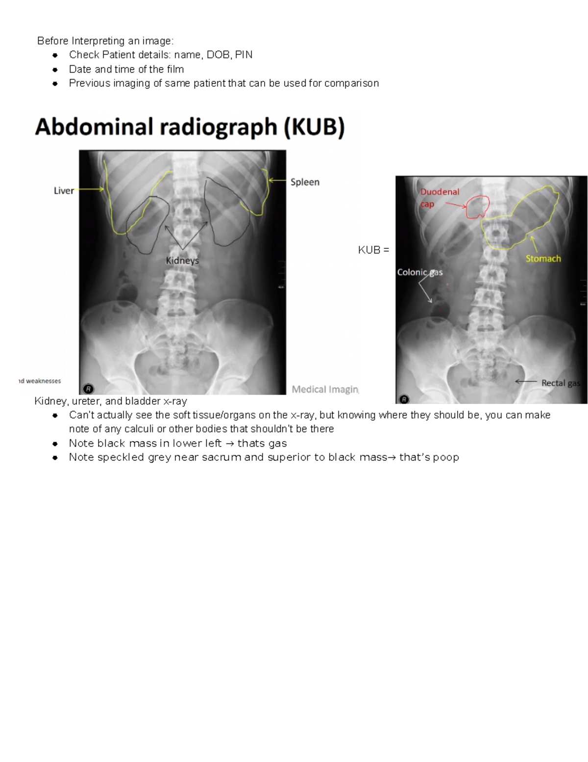 18. Medical Imaging of the GI - Before Interpreting an image: Check ...