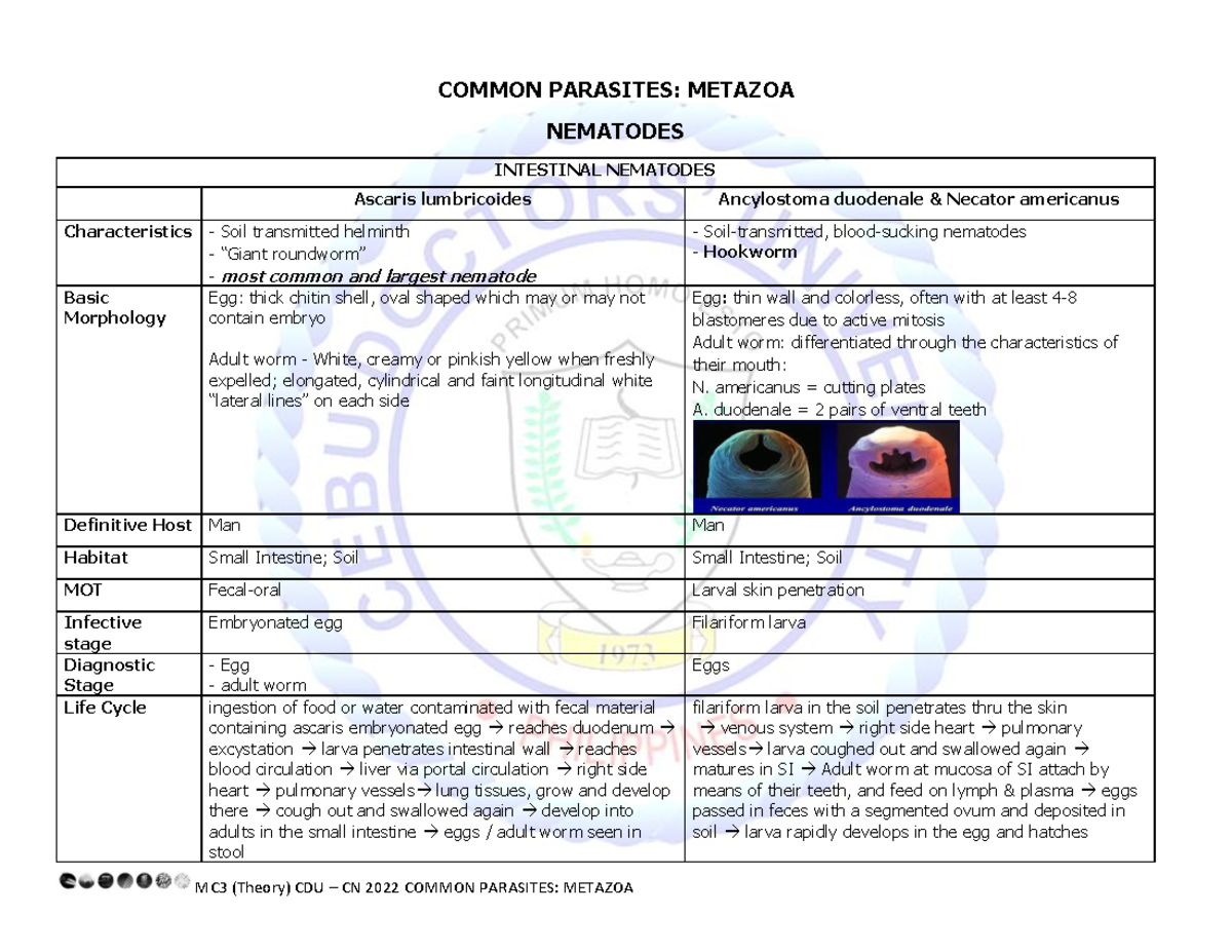 6F Metazoa - Microbio - COMMON PARASITES: METAZOA NEMATODES INTESTINAL ...