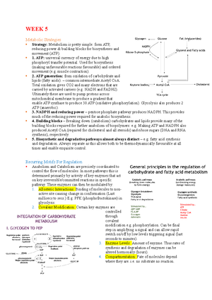 The Schofield Equation - Homework instruction sheet - The Schofield ...
