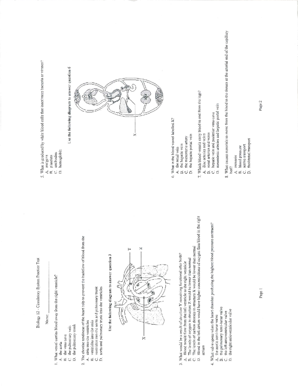 Circulatory System Practice Test - What is produced white blood cells ...