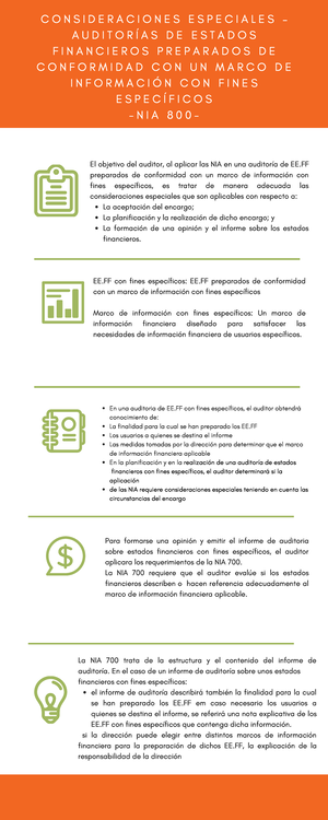 E-Revista Auditoría y Finanzas Edición No. 1 - normas internacionales ...