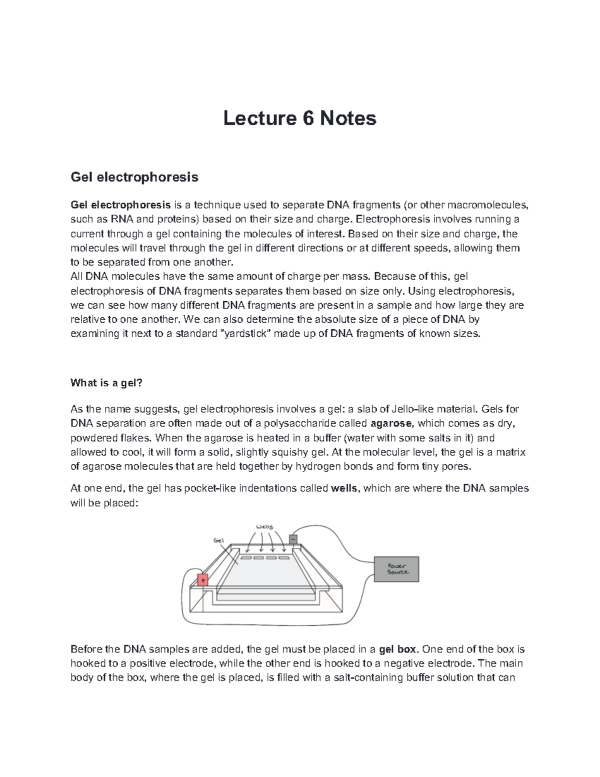 Lecture 6 Notes - Lecture 6 Notes Gel electrophoresis Gel ...