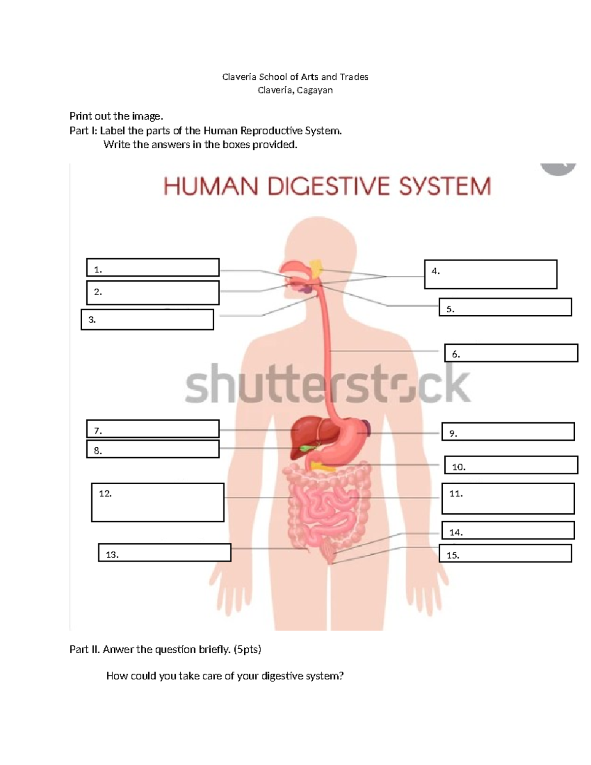 Activity-Gen - science body part - Bachelor of Elementary School ...
