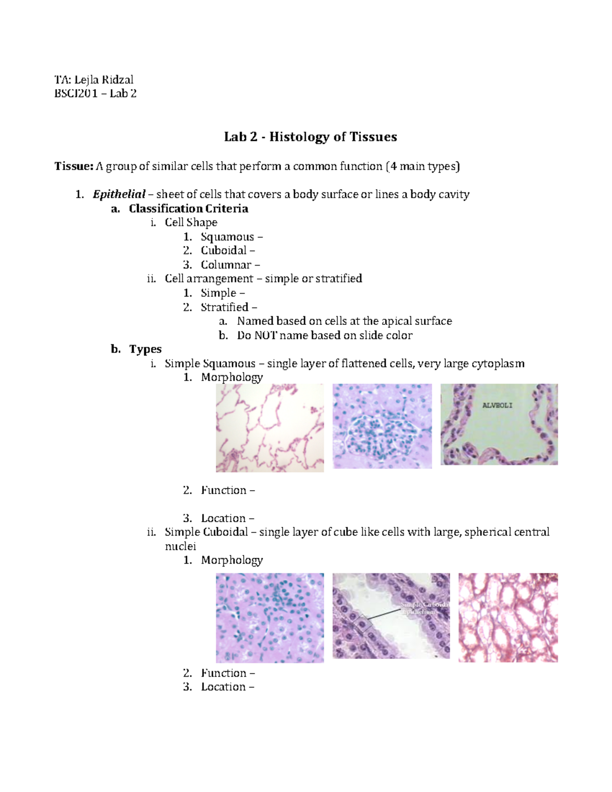 Lab 2 Review Sheet - Histology of Tissues - TA: Lejla Ridzal BSCI201 ...