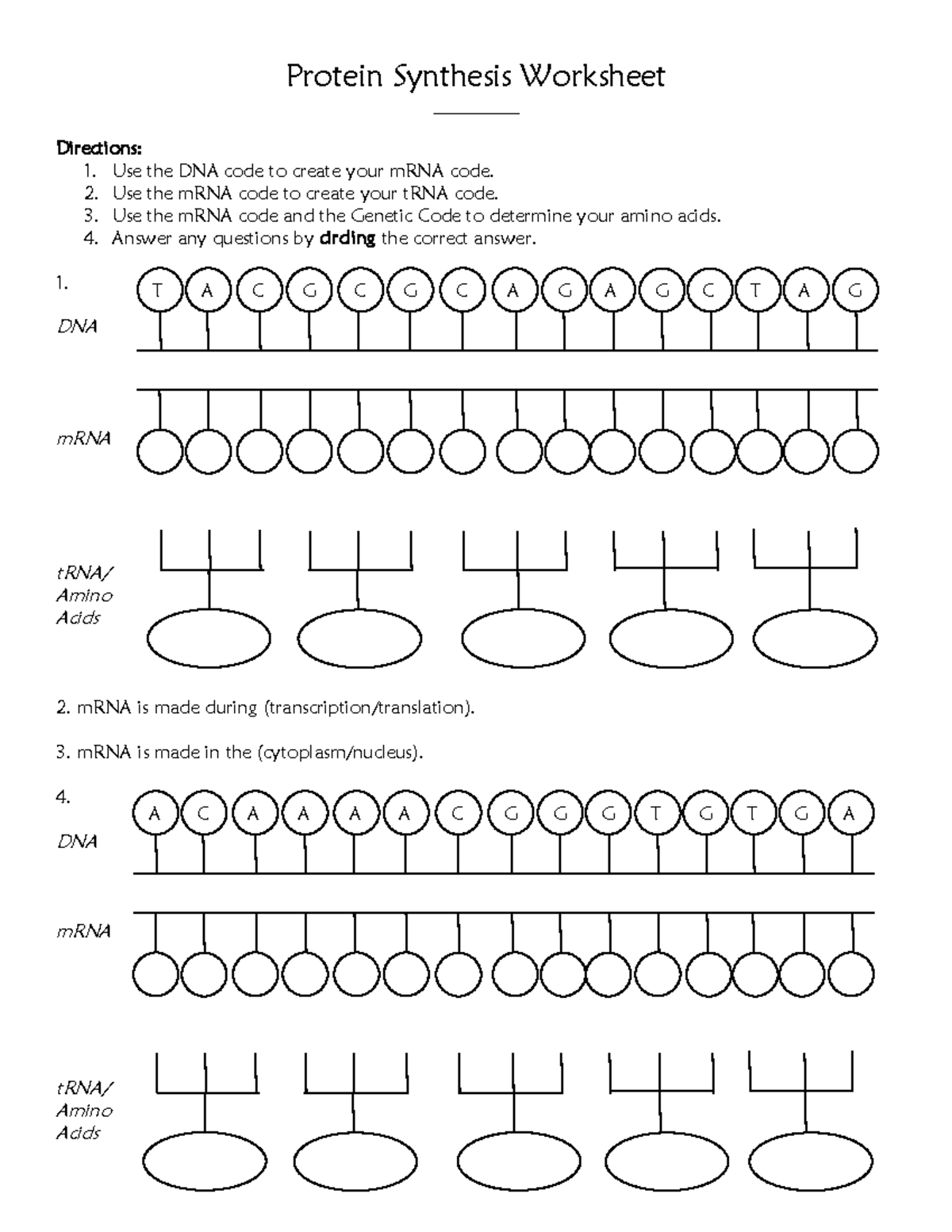 Visual Protein Synthesis Worksheet - Protein Synthesis Worksheet ...