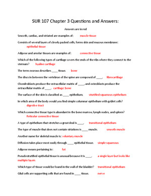 SUR 107 Chapter One Questions and Answers - SUR 107 Chapter One ...