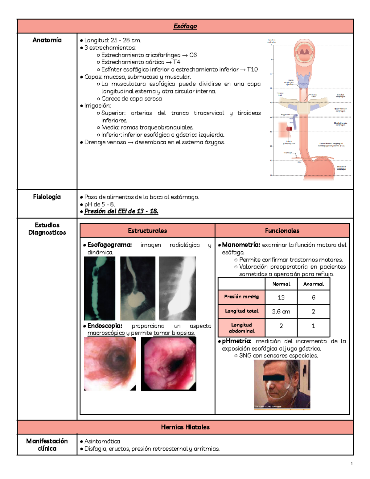 2P Cx - Esófago Anatomía Longitud: 25 - 28 cm. 3 estrechamientos ...