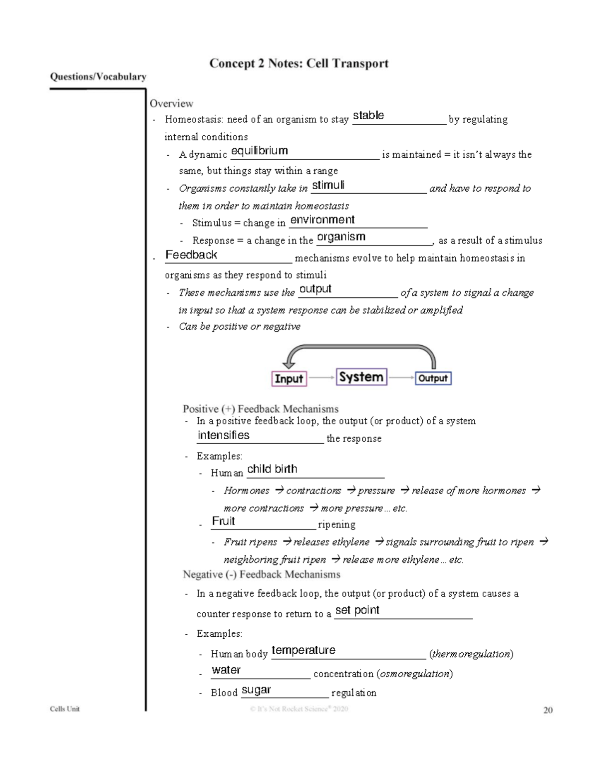 Cell Transport Concept Notes - Homeostasis: need of an organism to stay