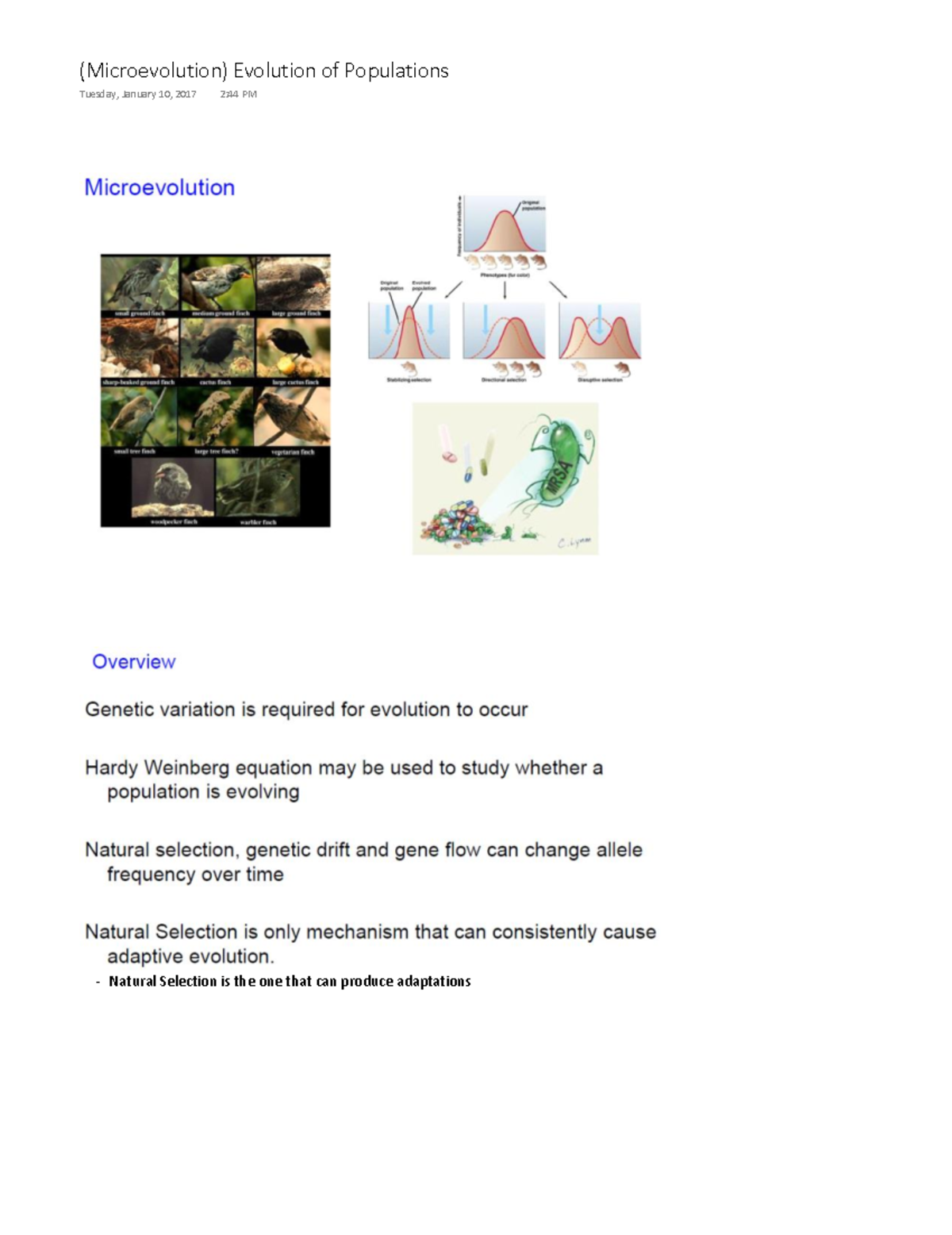 BIOL 1108 - (Microevolution) Evolution of Populations - Warning: TT: undefined function: 32 ...