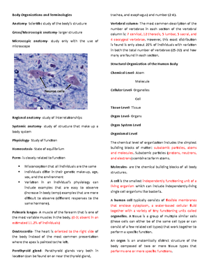 Filarial parasites - COLLEGE OF MEDICAL LABORATORY SCIENCE 2 st ...