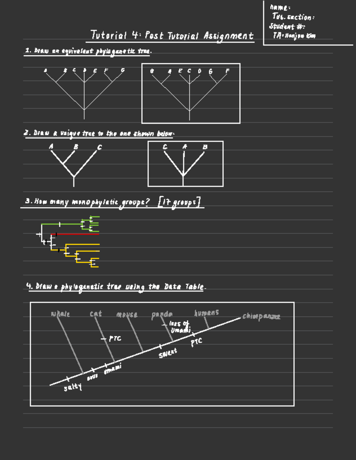 Post Tutorial Assignment - Phylogenetic Trees - name: Tut: Student #: Tutorial 4 Tutorial ...