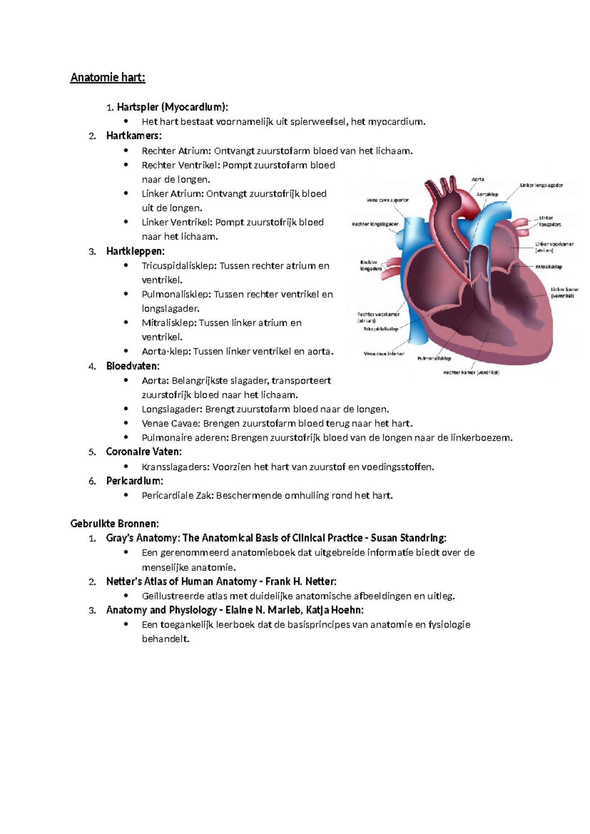 Anatomie hart - Anatomie hart: 1. Hartspier (Myocardium): Het hart ...