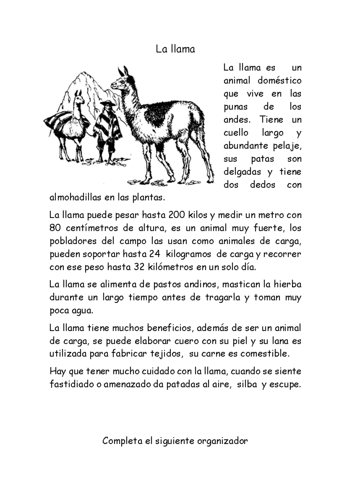 4. La llama - TEXTO DE COMPRENSION LECTORA - La llama La llama es un ...