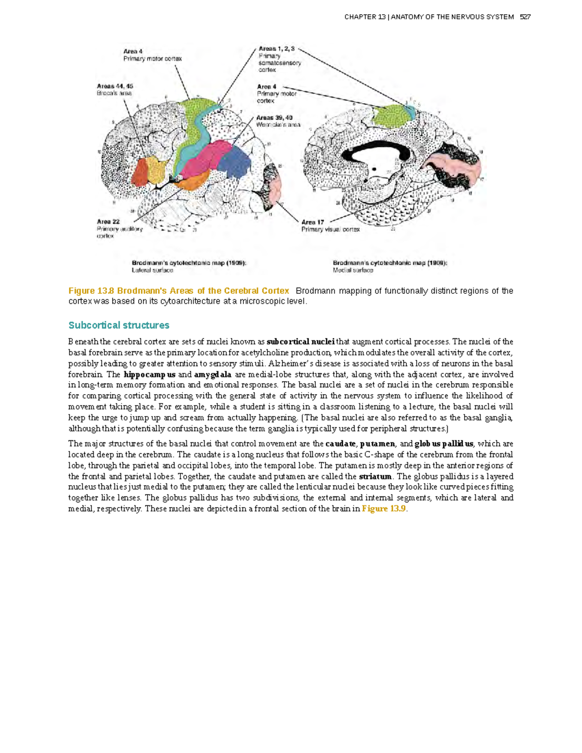 Anatomy-physiology-179 - Figure 13 Brodmann's Areas of the Cerebral ...