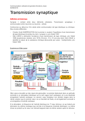2 - Libération du neurotransmetteur - Communication cellulaire et ...