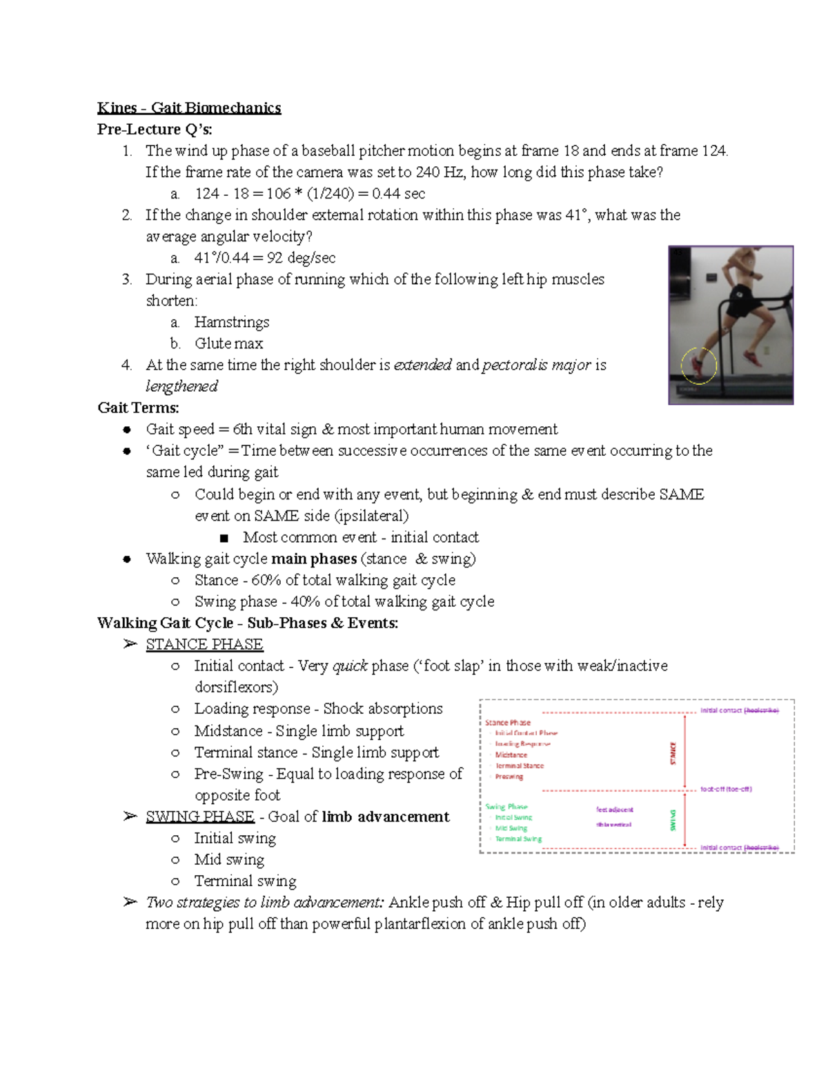 Gait Biomechanics - Lecture notes 7 - Kines - Gait Biomechanics Pre ...
