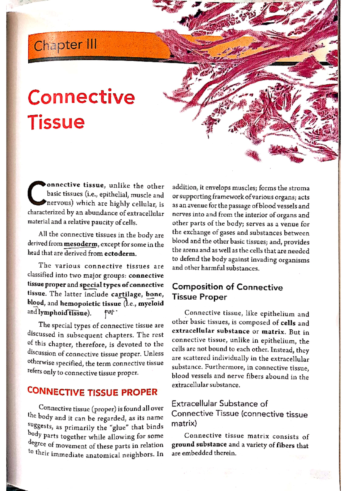 Chapter 3 Connective Tissue - Medical Surgical - Xavier - Studocu
