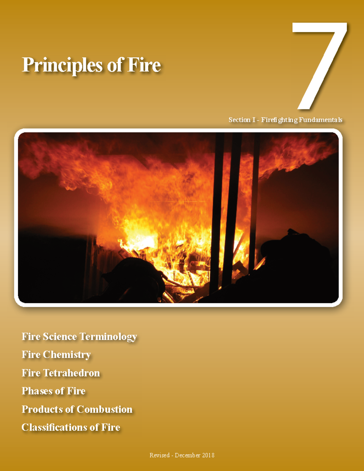 Chapter 7-Principles of Fire - Principles of Fire 7 Fire Science ...