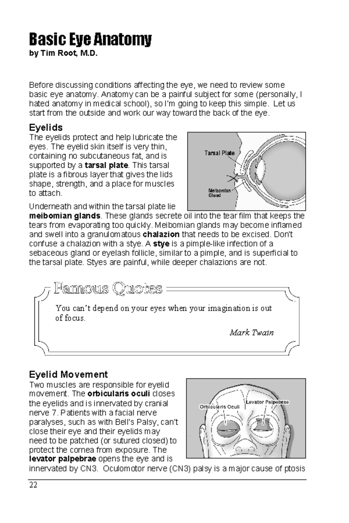 Eye anatomy - Anatomía visual general en inglés - Basic Eye Anatomy by ...