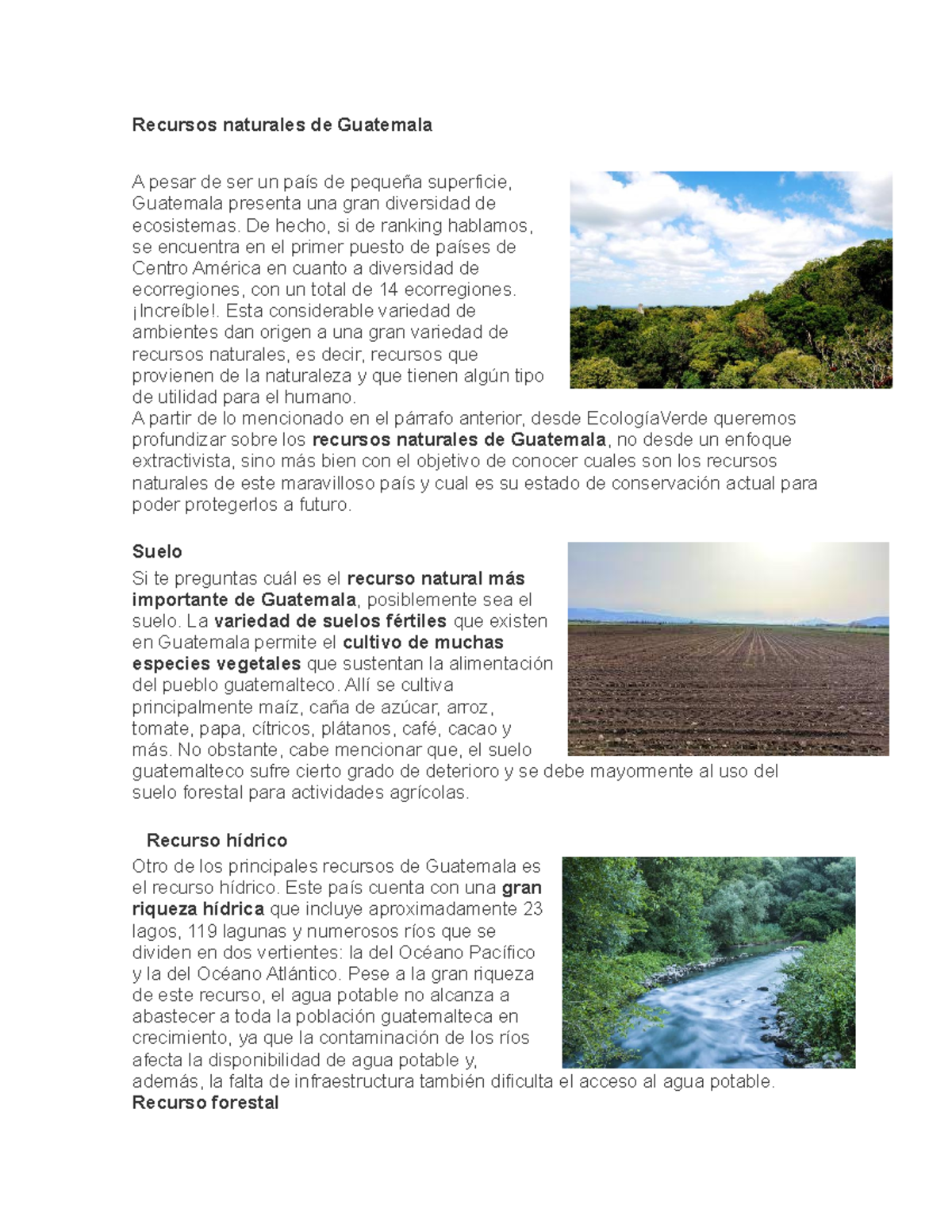 Recursos naturales de Guatemal 1 - De hecho, si de ranking hablamos, se ...