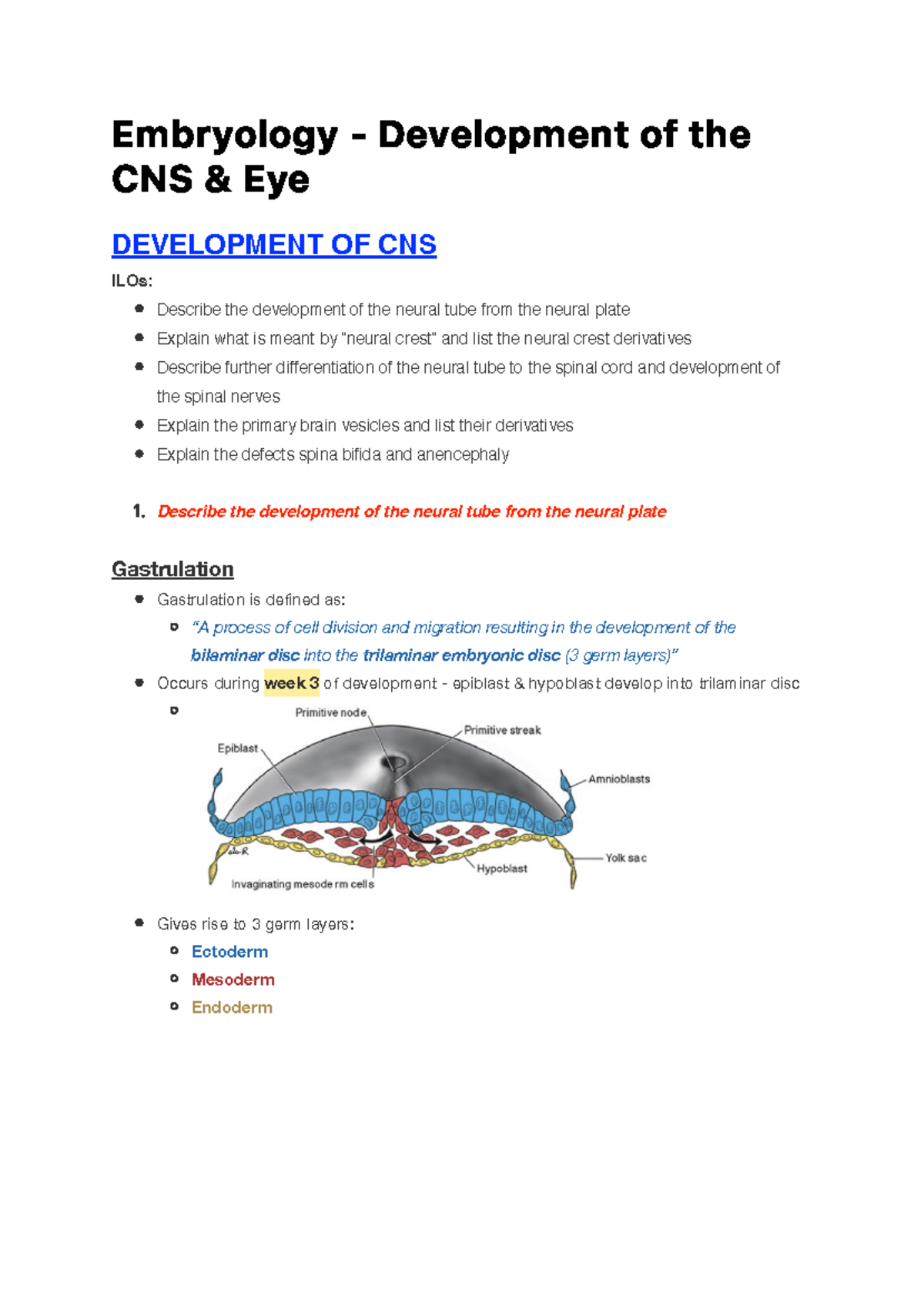 Embryology - Development of the CNS and Eye - E m b r yo l o g y - D ...