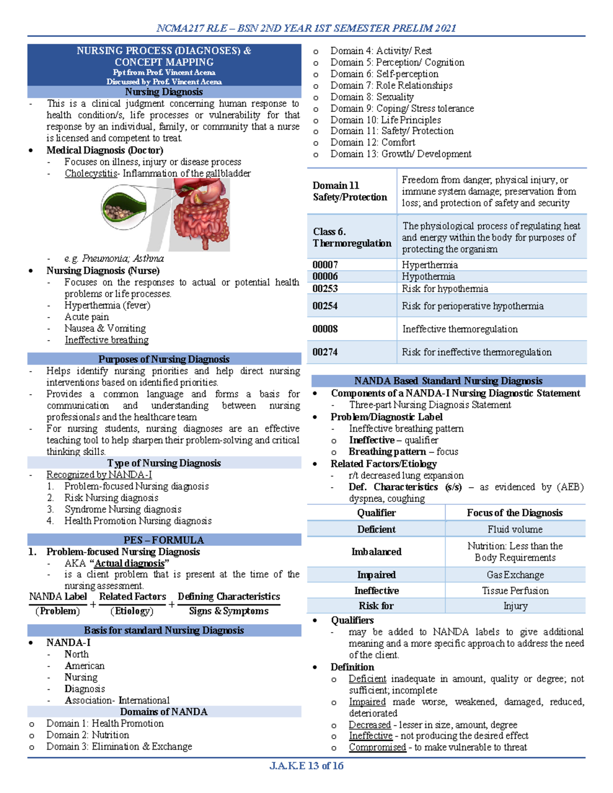 Nursing Diagnosis - NCMA217 RLE – BSN 2ND YEAR 1ST SEMESTER PRELIM 2021 ...