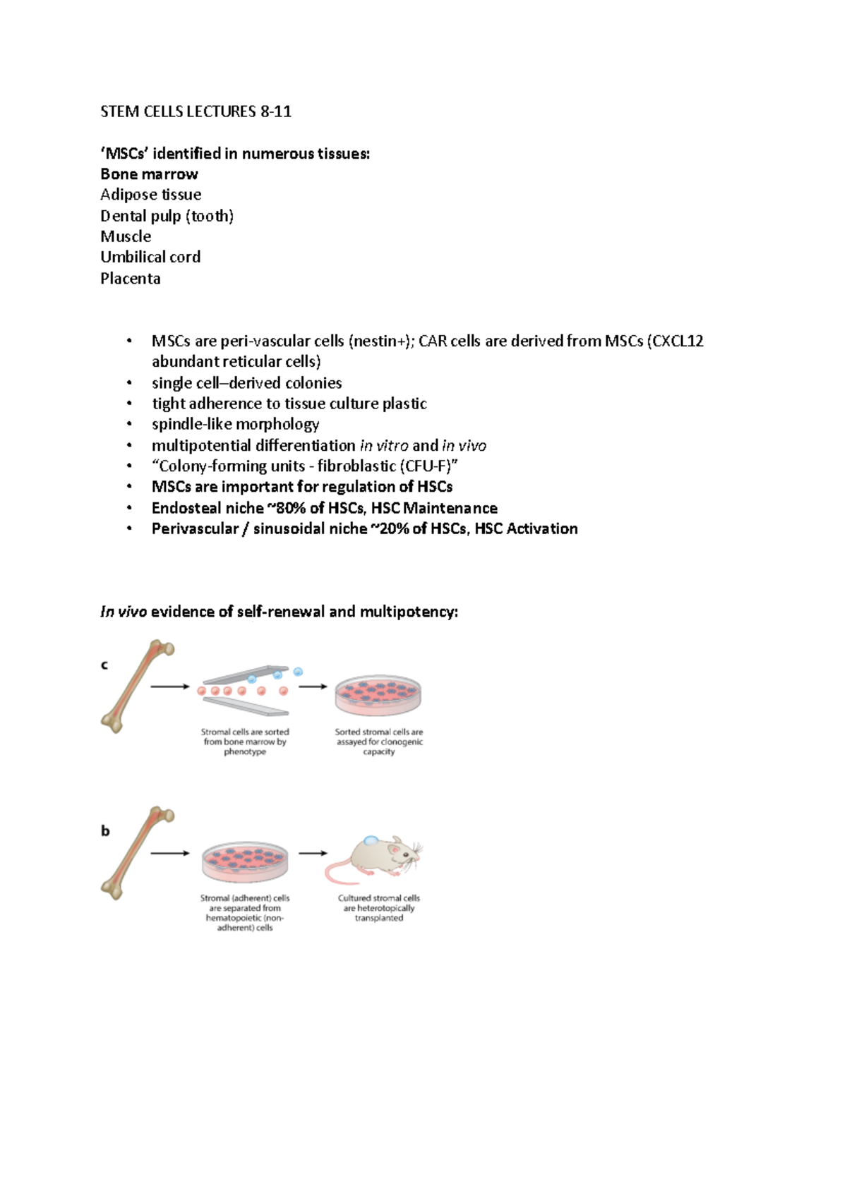 STEM Cells Notes Lectures 8-11 summaries - STEM CELLS LECTURES 8- 11 ...