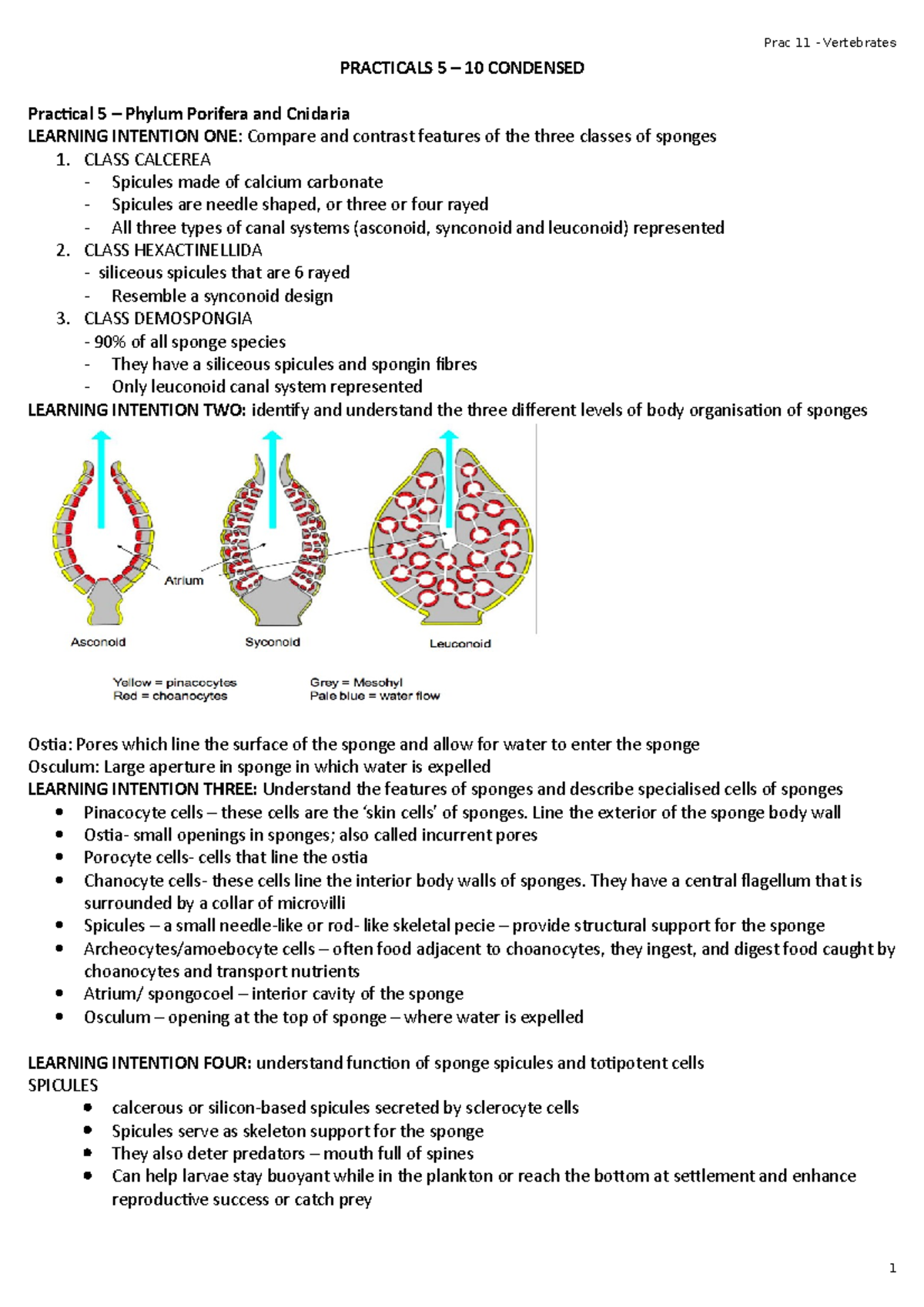 Practical Summary 5-10 - PRACTICALS 5 – 10 CONDENSED Practical 5 ...