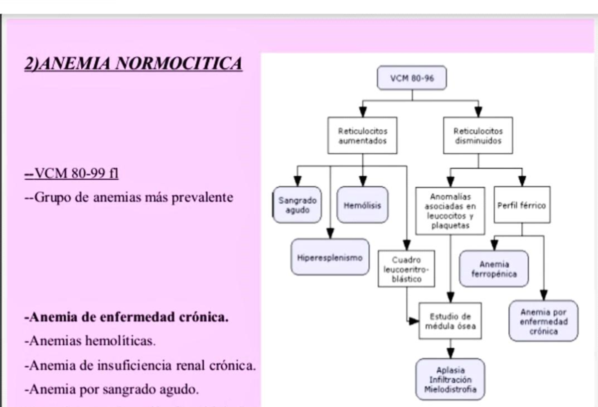 Anemia Normocitica E Normocronica - RETOEDU