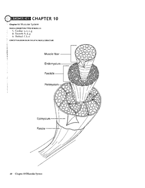 AP Chapter 21 Workbook answers - ADC 423 - Studocu