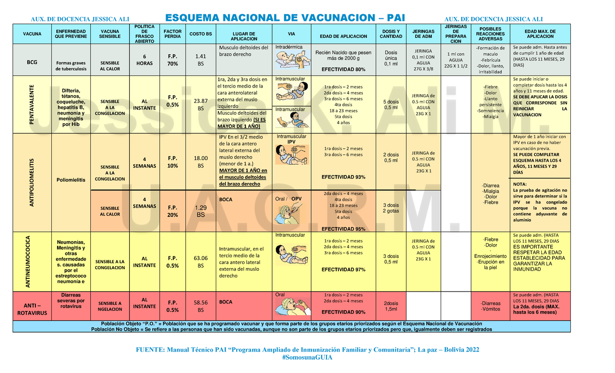2024 Esquema PAI PARA EST. - Mejorado-1 - AUX. DE DOCENCIA JESSICA ALI ESQUEMA NACIONAL DE - Studocu