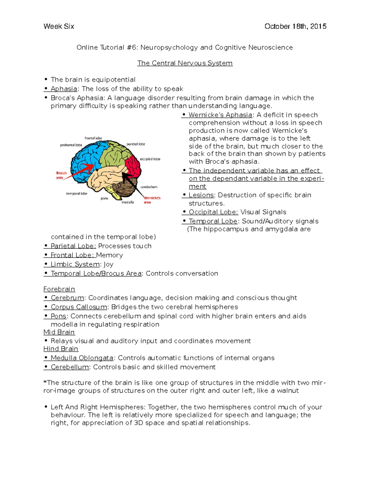 Lecture notes, lecture 6 - Neuropsychology and Cognitive Neuroscience ...