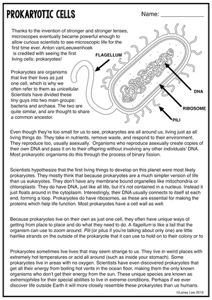 Candy Cell Structure Table 2022 - James Sayegh, Case Vandenbosch, Brady ...