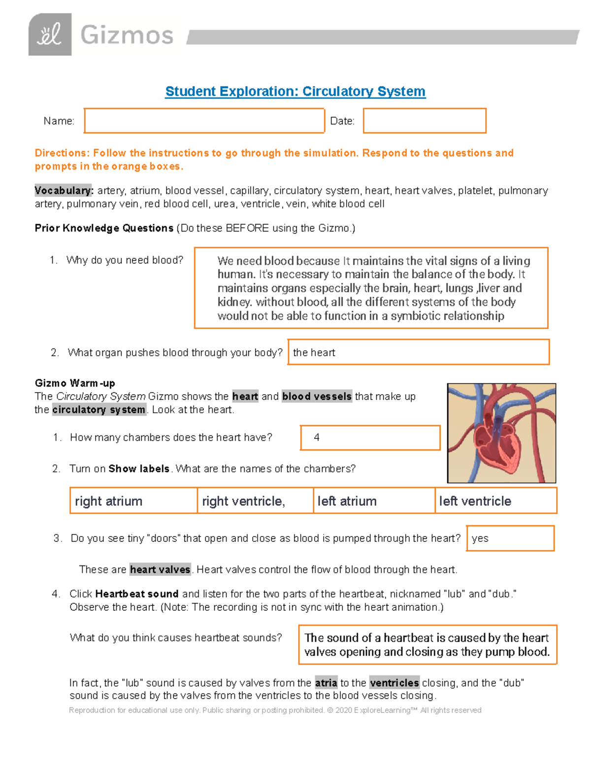 Circulatory System Completion Gizmo - Student Exploration: Circulatory ...