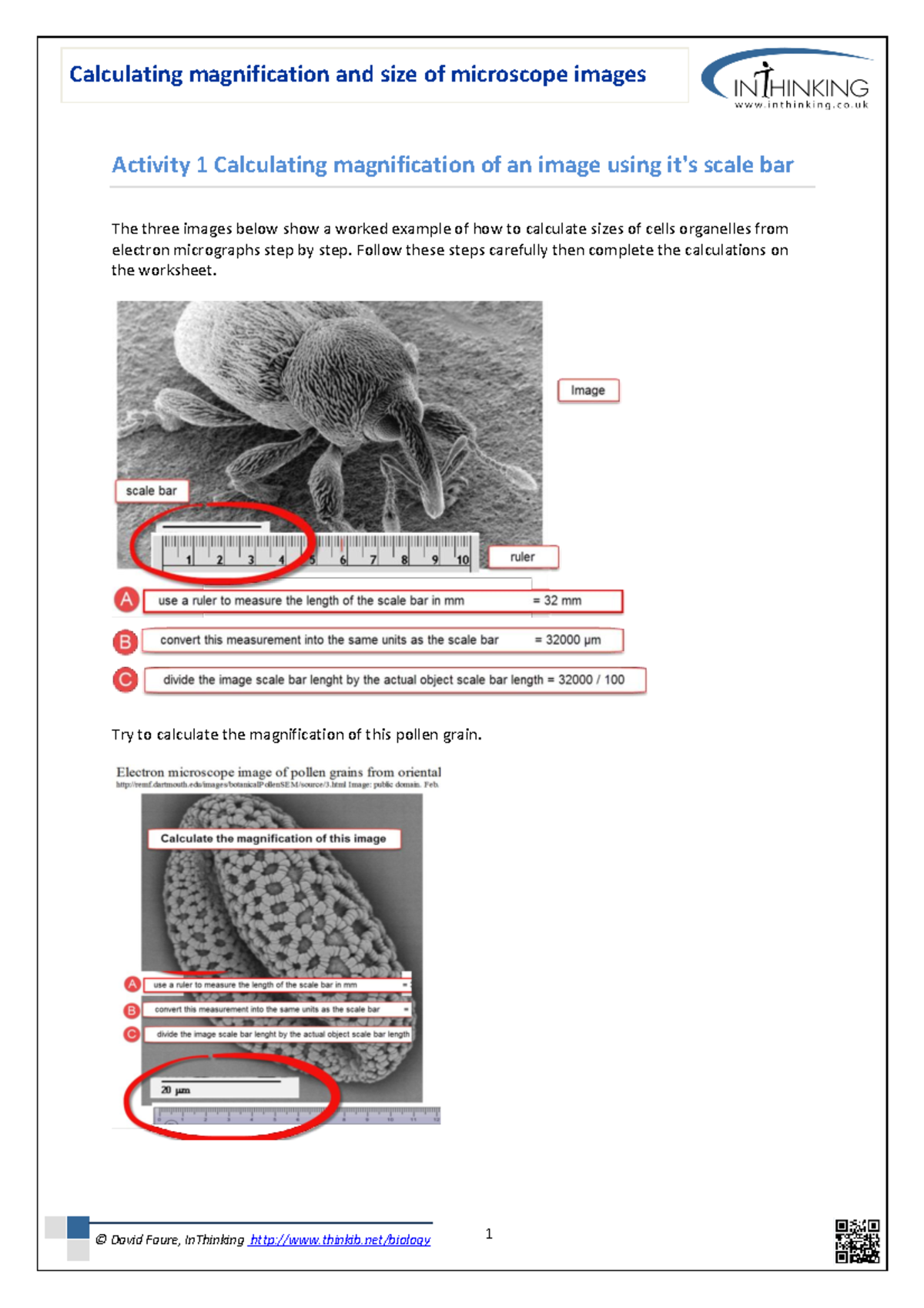 Calculating mag size new - Calculating magnification and size of ...