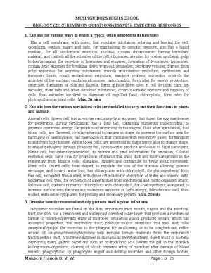 Reflection and Interpretation of The Creation of Adam By Michelangelo ...