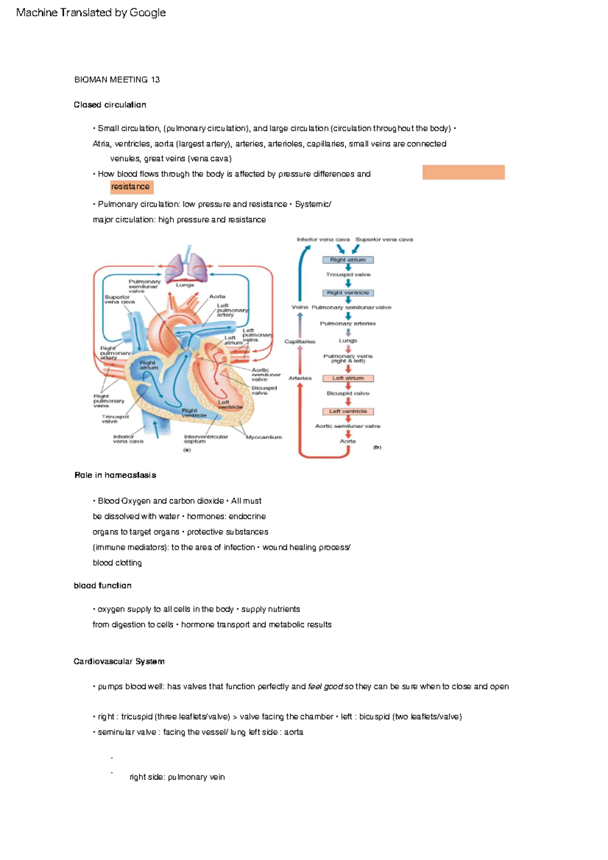 Closed circulation - pumps blood well: has valves that function ...