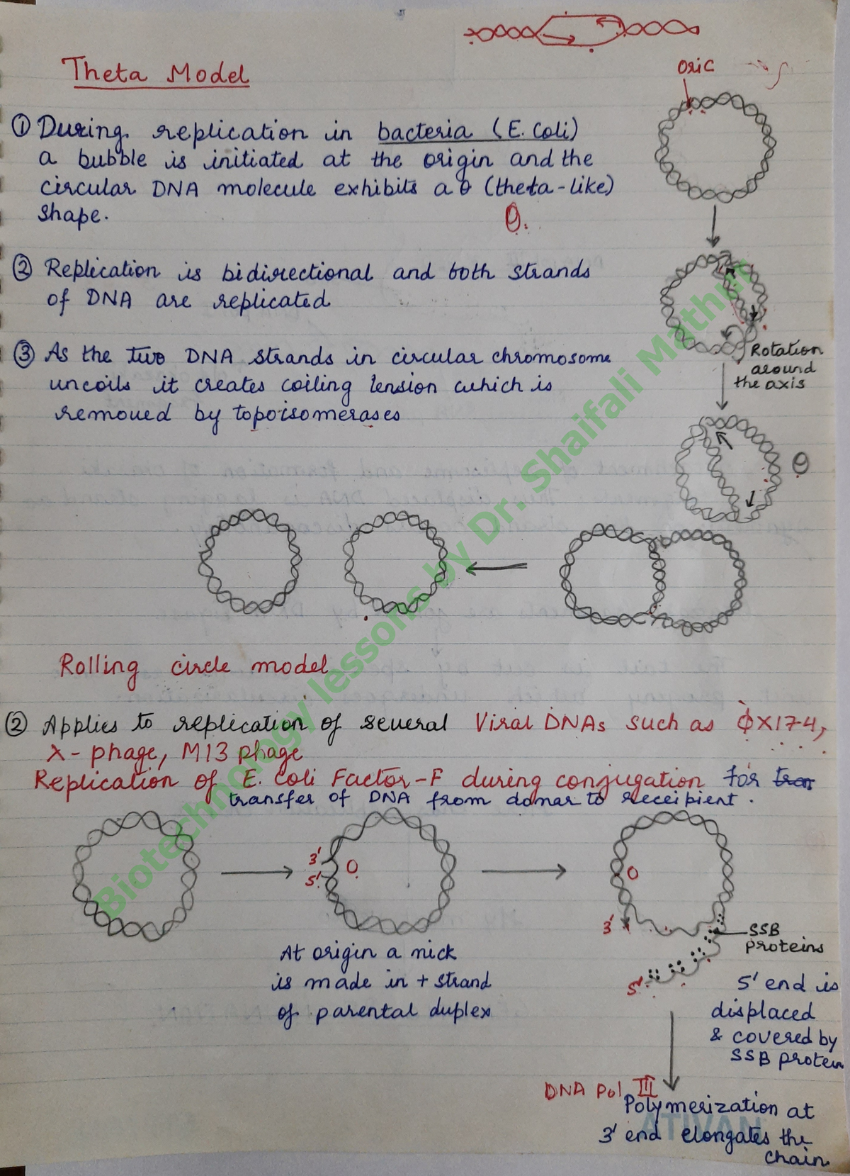 Theta Model and Rolling Model of DNA replication - Biochemistry ...