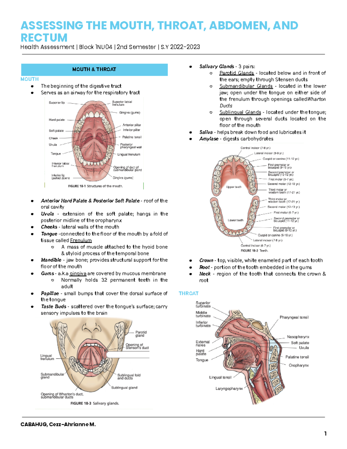Health assessment mouth, throat and abdomen lecture - RECTUM Health ...