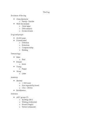 Ans vid rough draft - Erin Perry - Video Rough Draft “Script” Intro ...