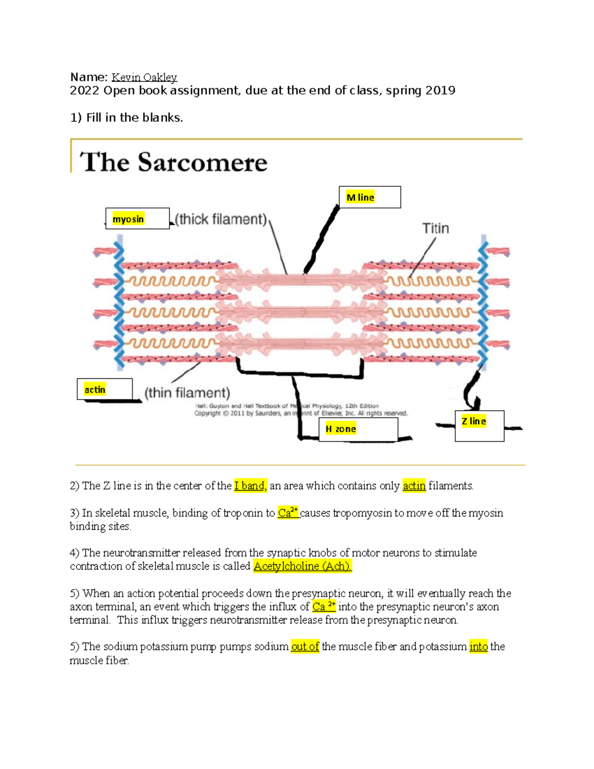 Ch 9 Sarcomere Worksheet - Name: Kevin Oakley 2022 Open book assignment ...