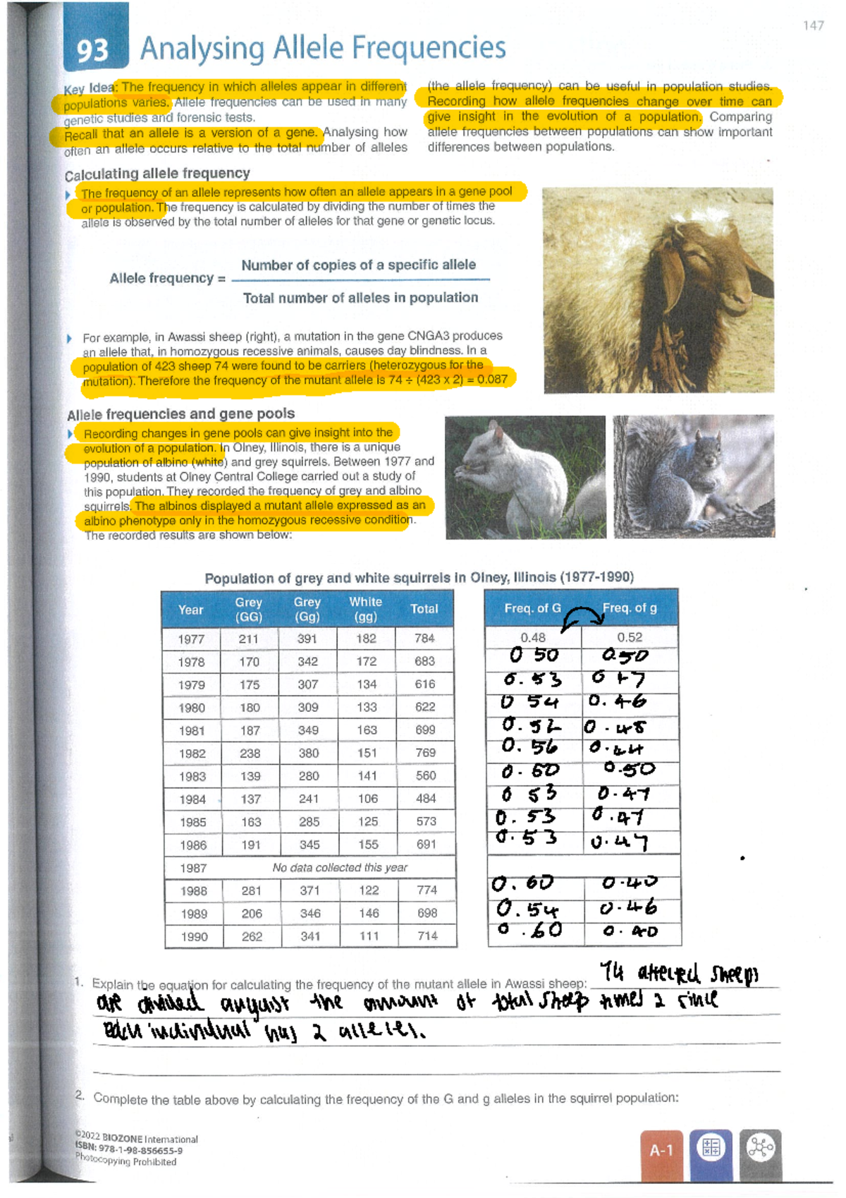 93 Analysing Allele Frequencies worksheet answers - Studocu