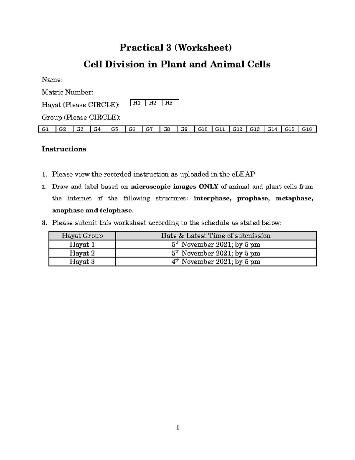 Cell Division In Plant Animal Cells Worksheet Practical 3 Worksheet