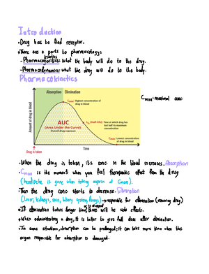 Brain stem anatomy - Brain Stem It develops during embryonic ...