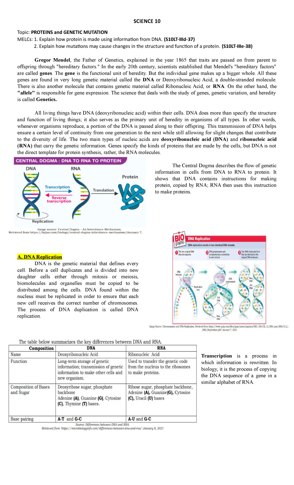 Science 10 - Proteins and Genetic Mutation - SCIENCE 10 Topic: PROTEINS ...